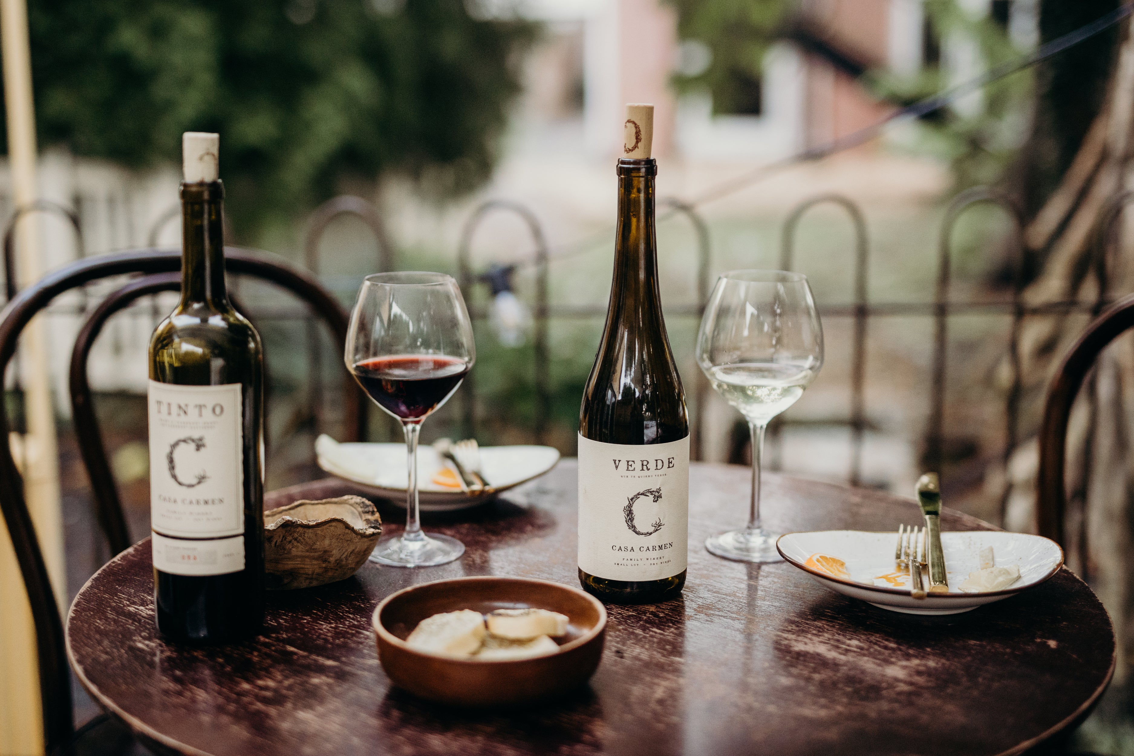 Spring 2023 Letter – Casa Carmen Wines