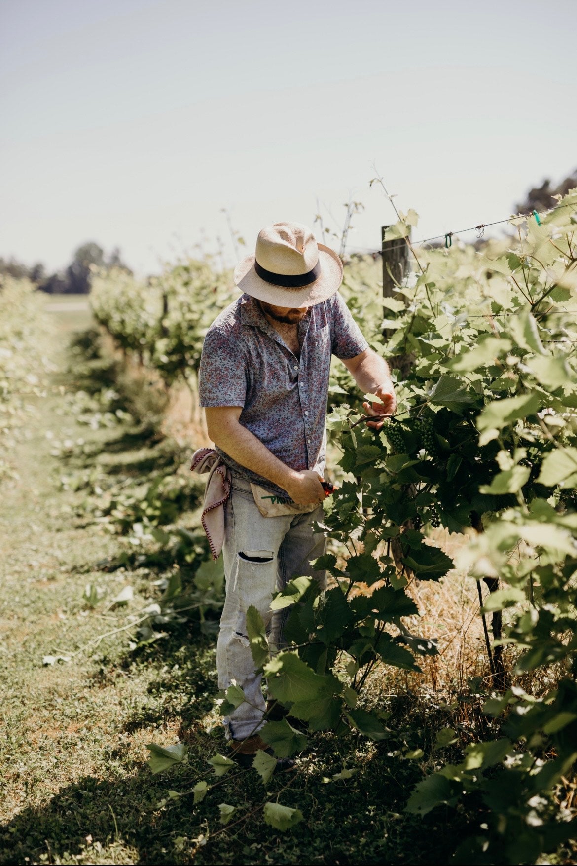 West Grove Farm & Tasting Room – Casa Carmen Wines